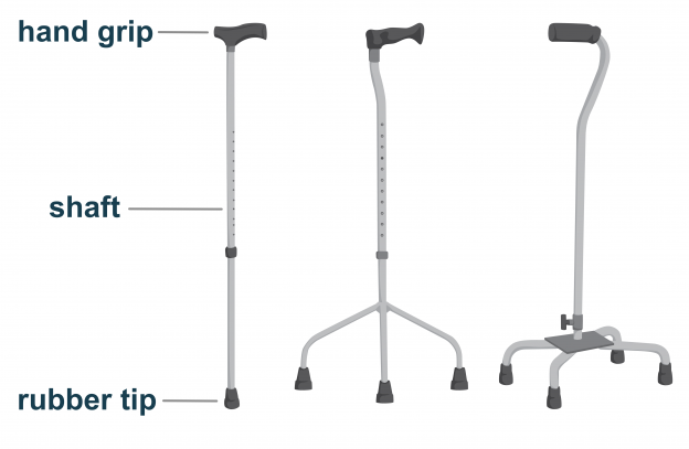 Different types of walking aids – Training in Assistive Products