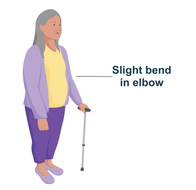 Fitting different types of walking aids – Learning on TAP