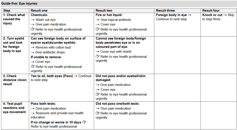 How to use Guide five: Eye injuries – Training in Assistive Products